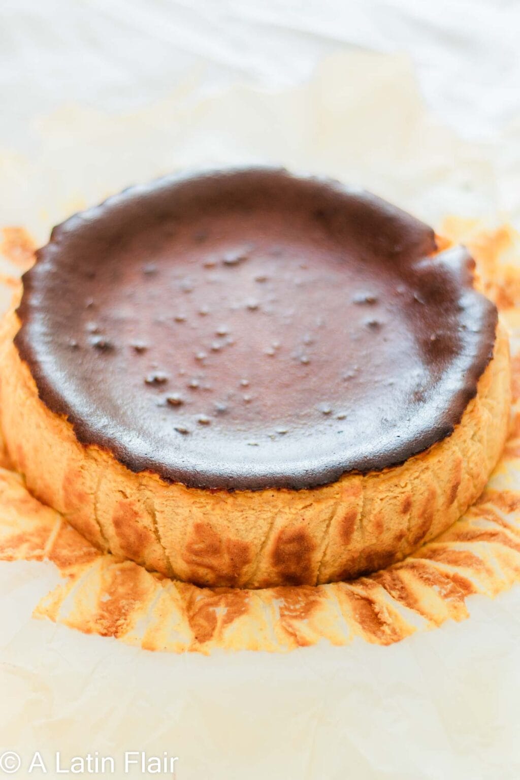 Pumpkin Burnt Basque Cheesecake (Easy Recipe!) | A Latin Flair